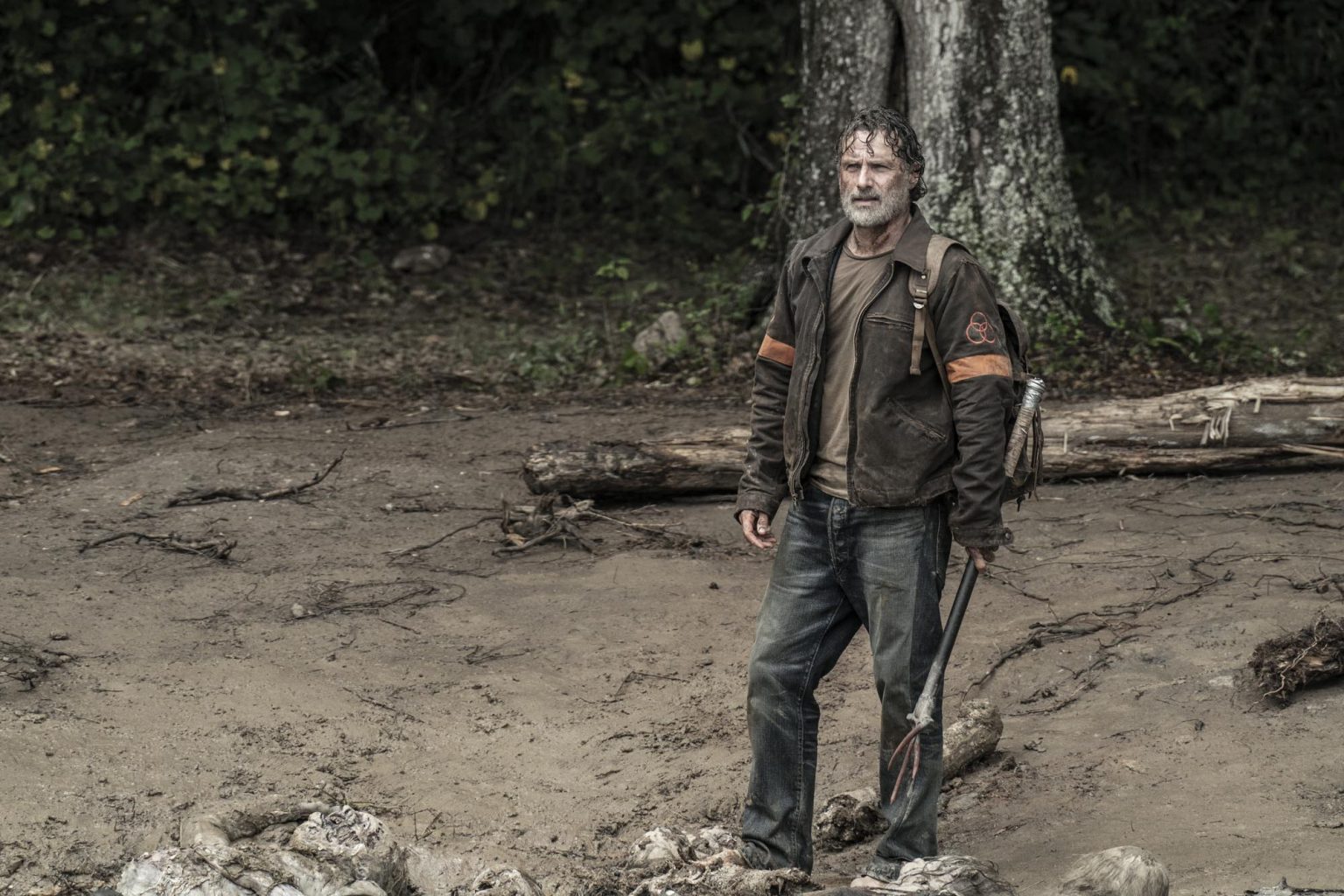 Final de The Walking Dead com Rick e Michonne é explicado